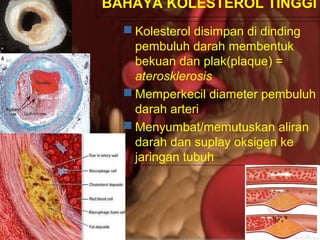 Kolesterol | PPT