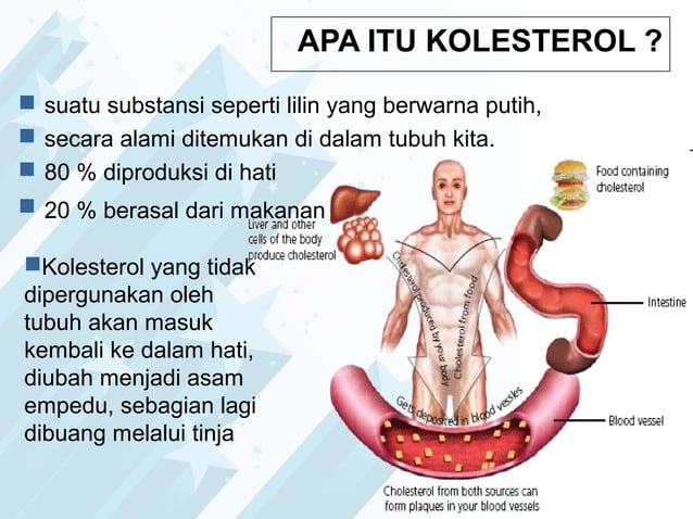 Kolesterol | PPT