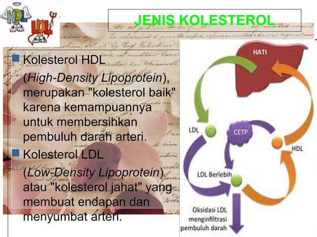 Kolesterol | PPT
