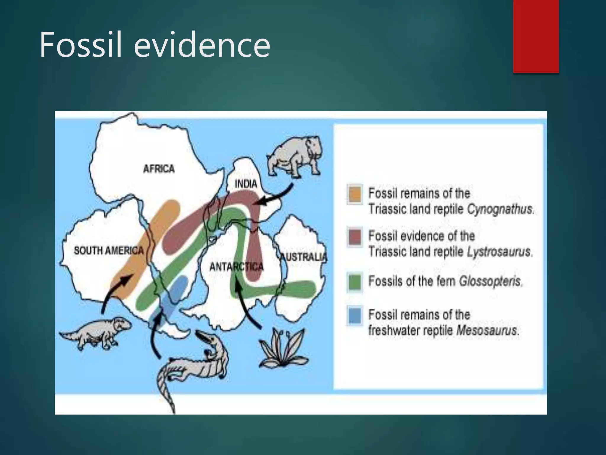 Continental Drift Theory and Plate Tectonic | PPTX