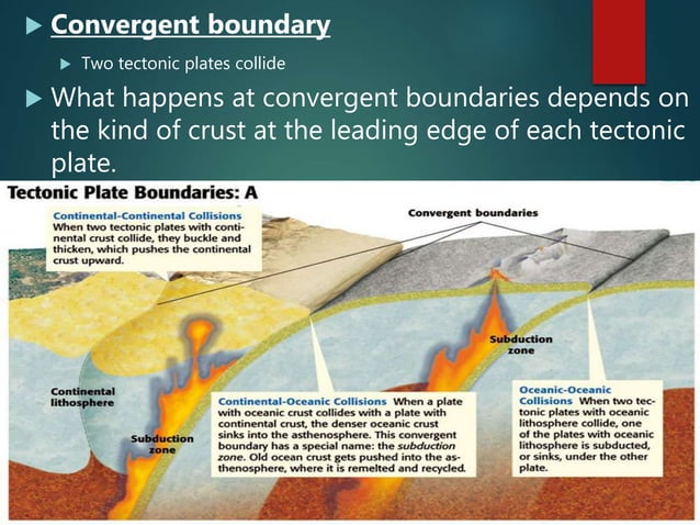 Continental Drift Theory and Plate Tectonic | PPTX | Geography | Science