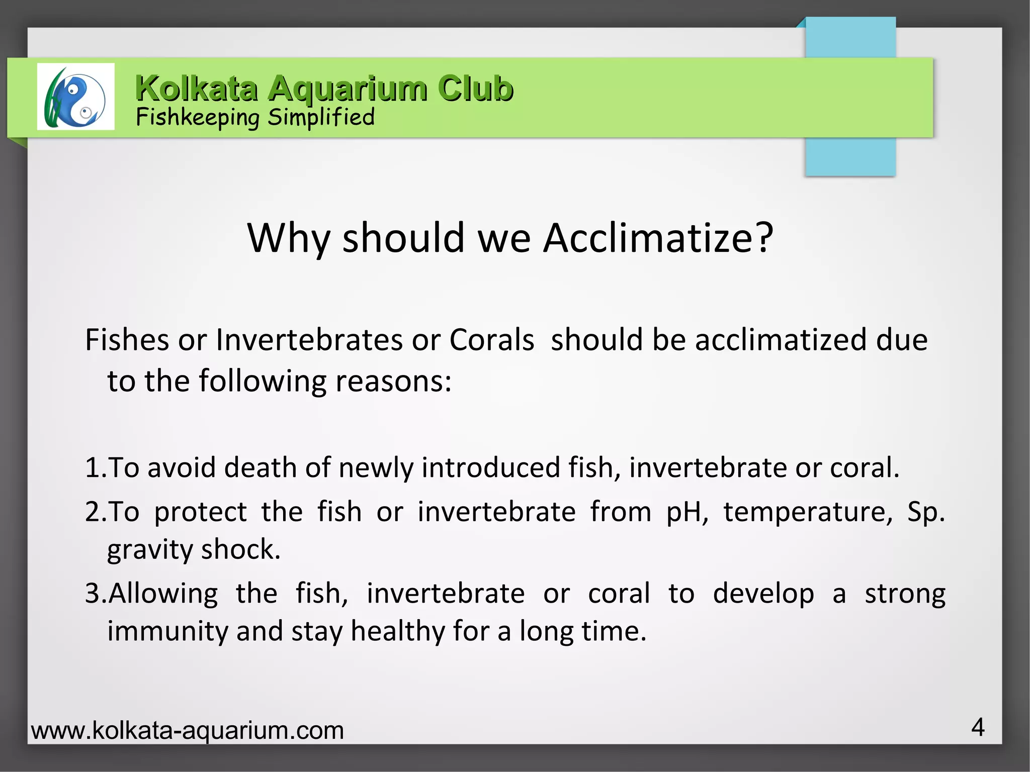 Kolkata aquarium club - Fish Acclimatization | PPT