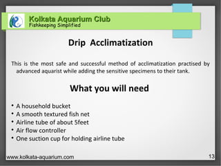 Kolkata aquarium club - Fish Acclimatization | PPT