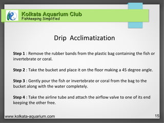 Kolkata aquarium club - Fish Acclimatization | PPT