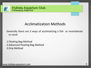 Kolkata aquarium club - Fish Acclimatization | PPT