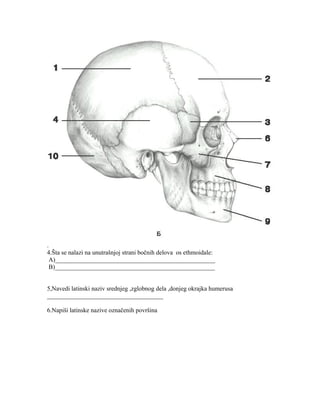 Takmicenje iz anatomije | DOC