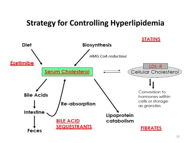 Hyperlipidemia and its treatment