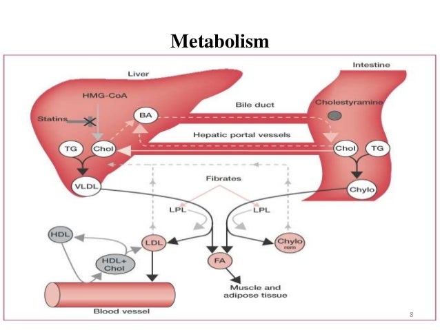 Hyperlipidemia and its treatment