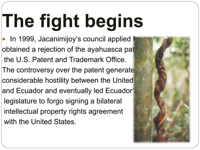 patenting of plants | PPTX | Law