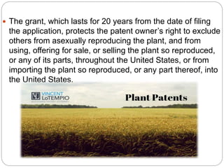 patenting of plants | PPTX