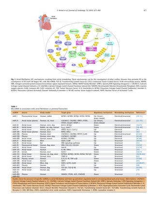 MicroRNAs: Emerging biomarkers for atrial fibrillation | PDF