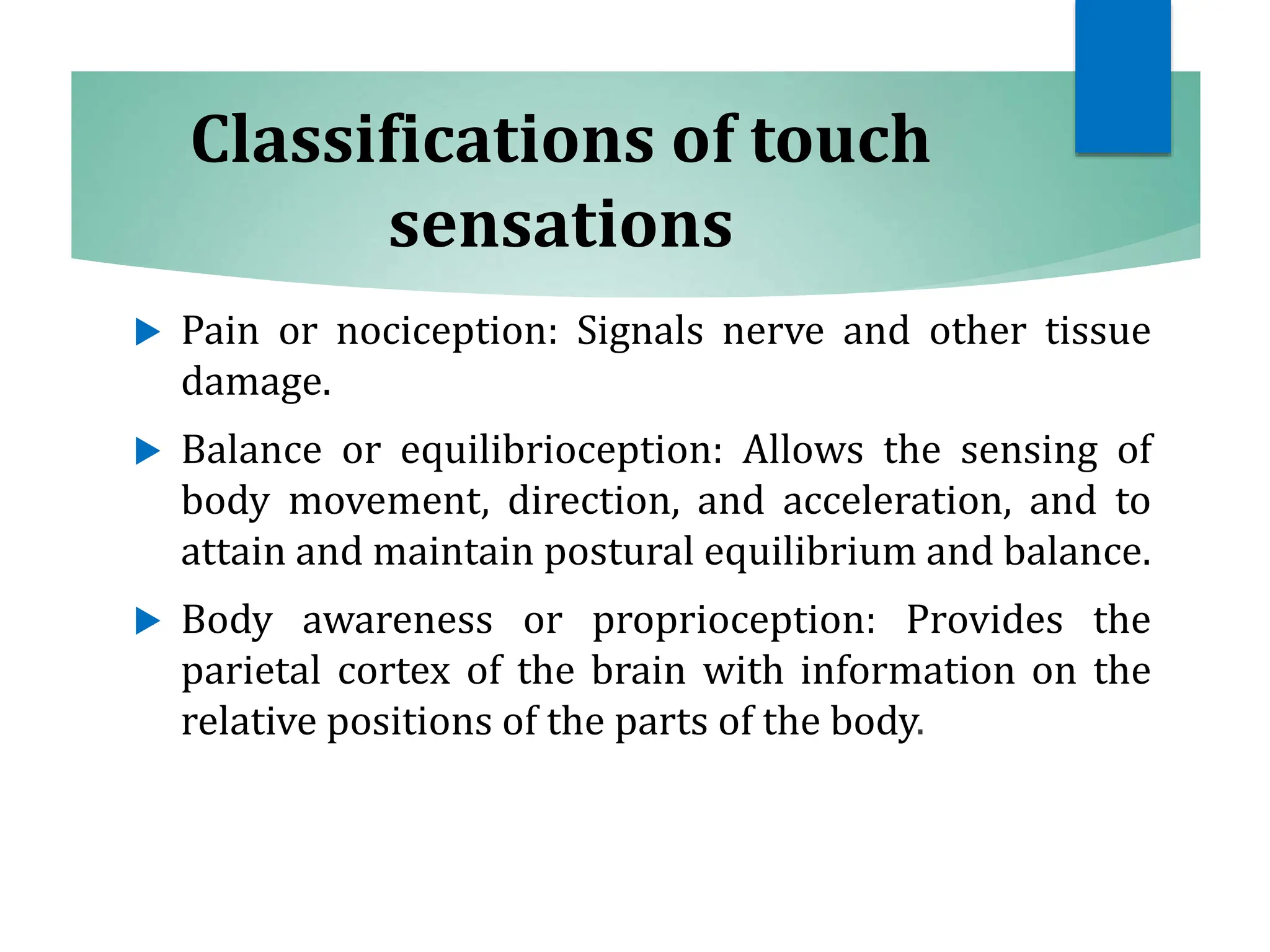 The Special Special The Special Senses.pptx