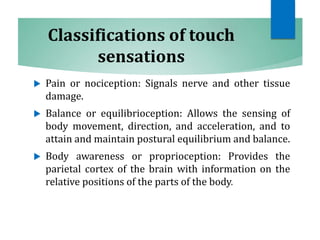 The Special Special The Special Senses.pptx