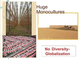 permaculture farming -Komal organic ppt | PPTX