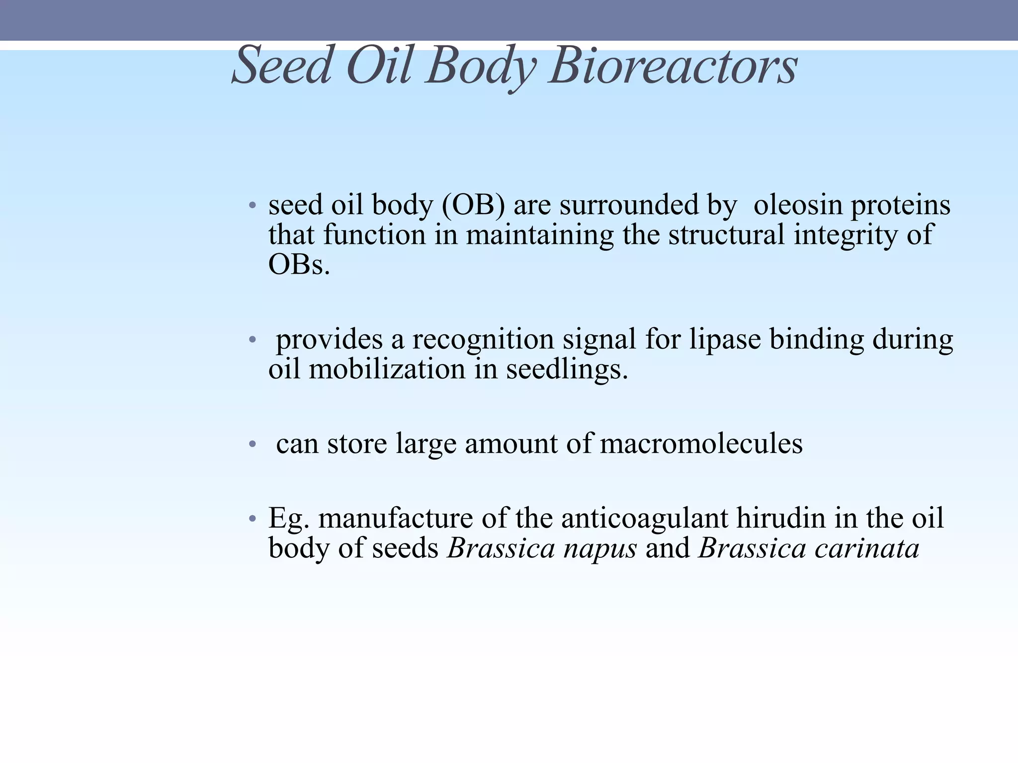 PLANTS AS BIOREACTOR | PPTX