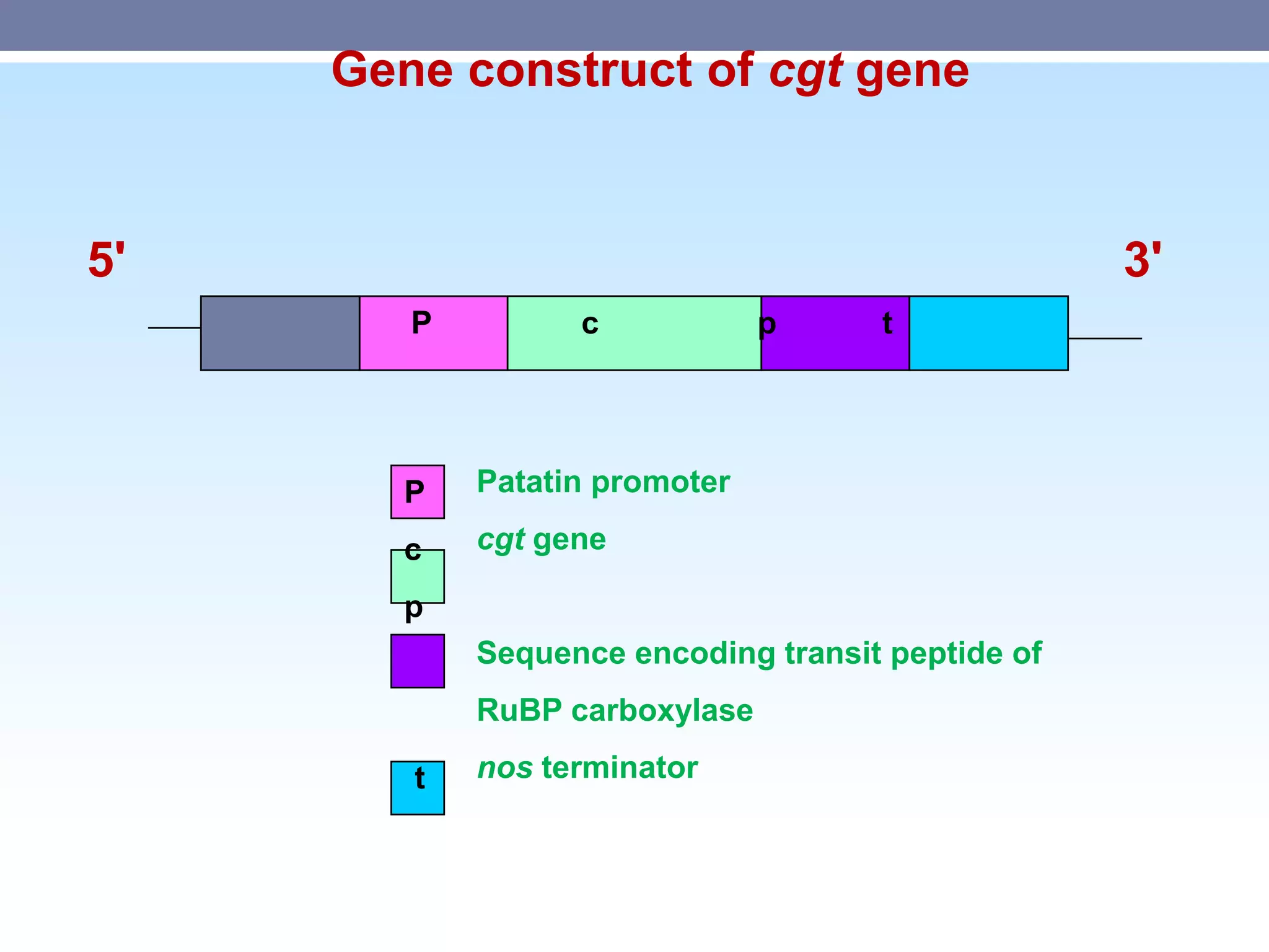 PLANTS AS BIOREACTOR | PPTX