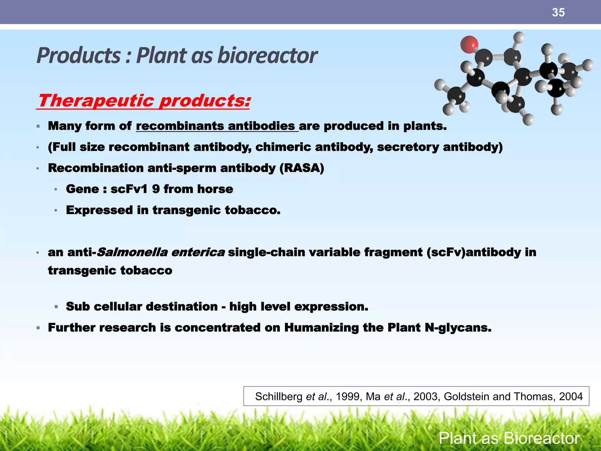 PLANTS AS BIOREACTOR | PPTX