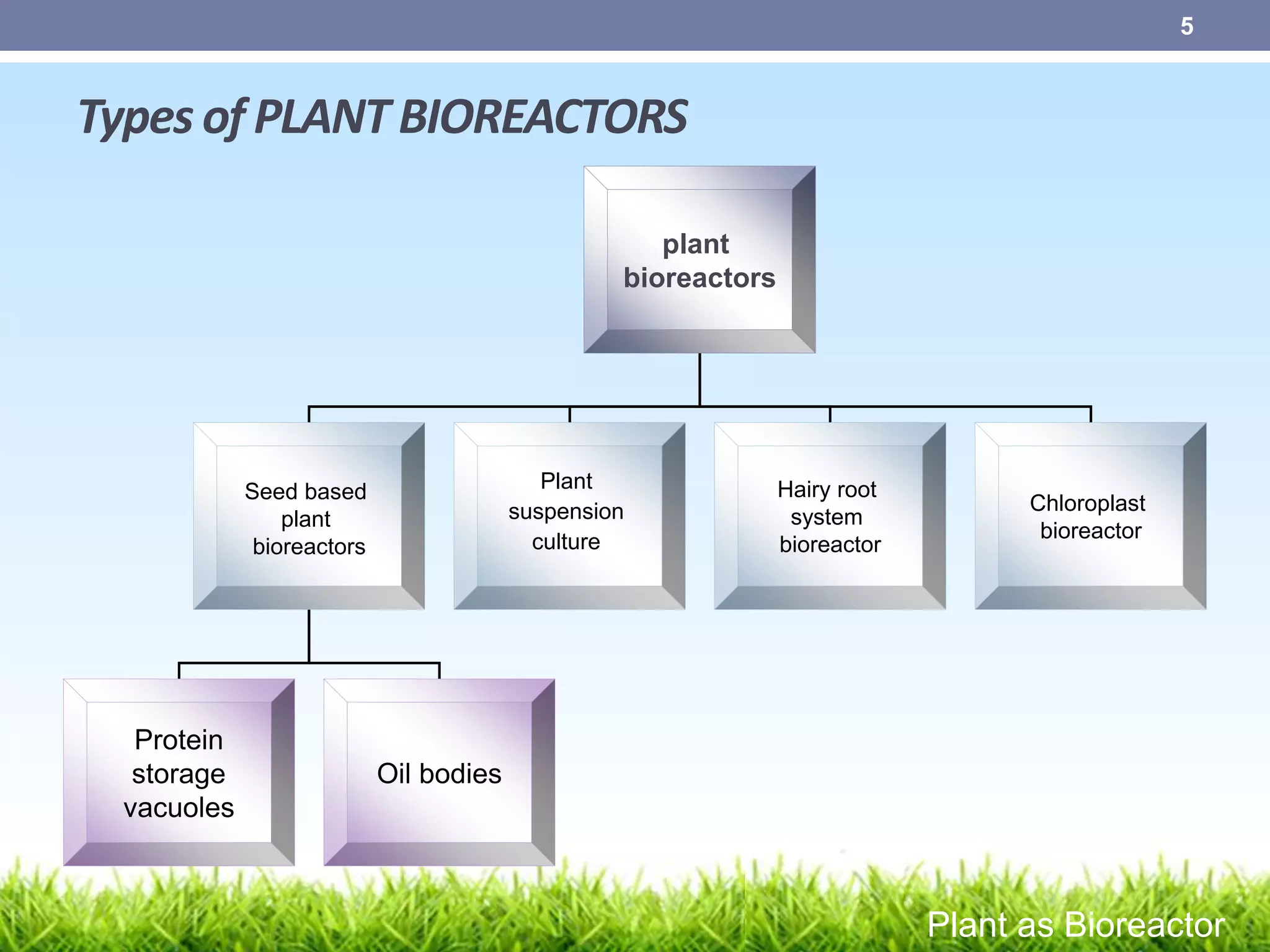PLANTS AS BIOREACTOR | PPTX