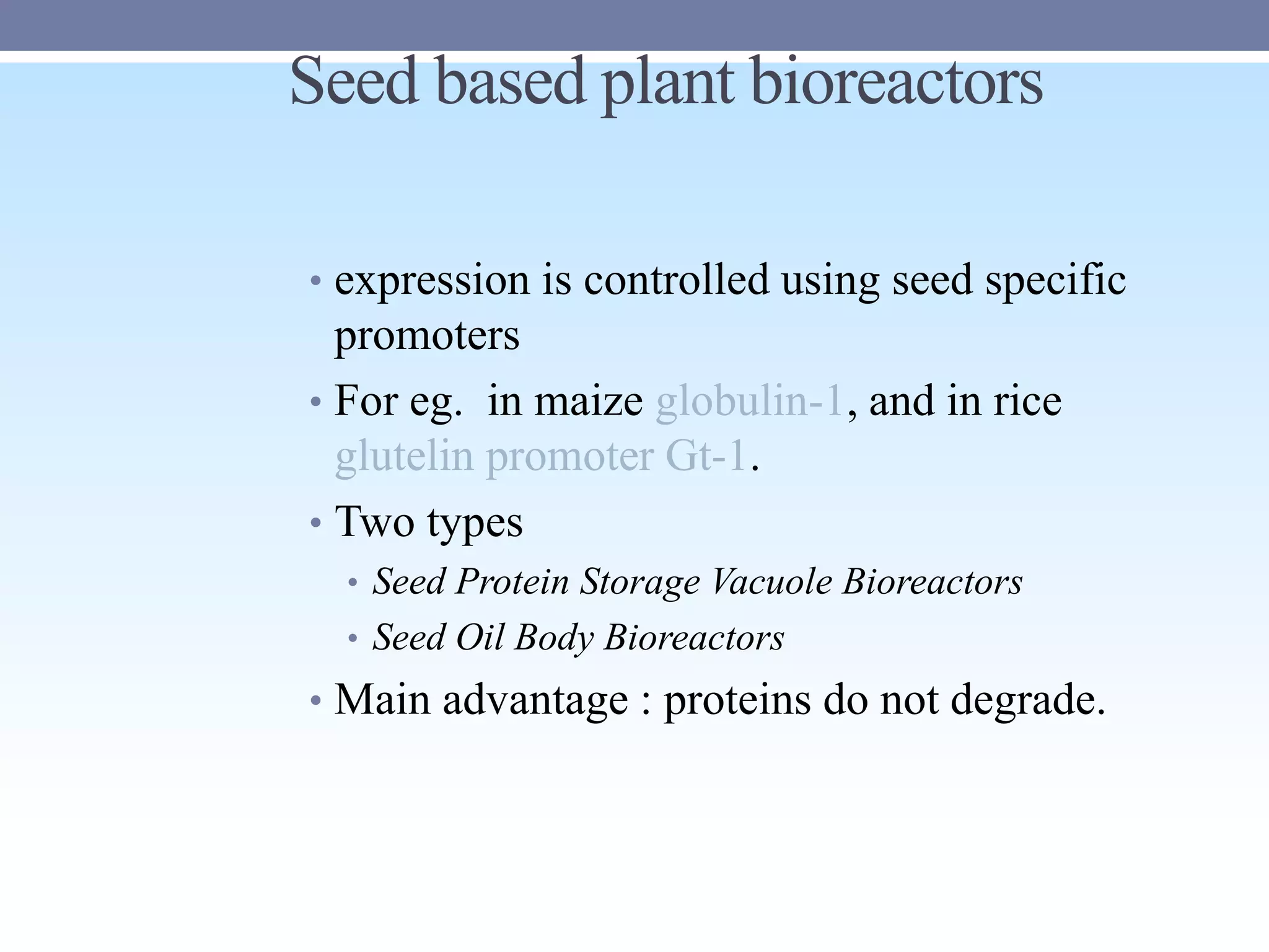 PLANTS AS BIOREACTOR | PPTX