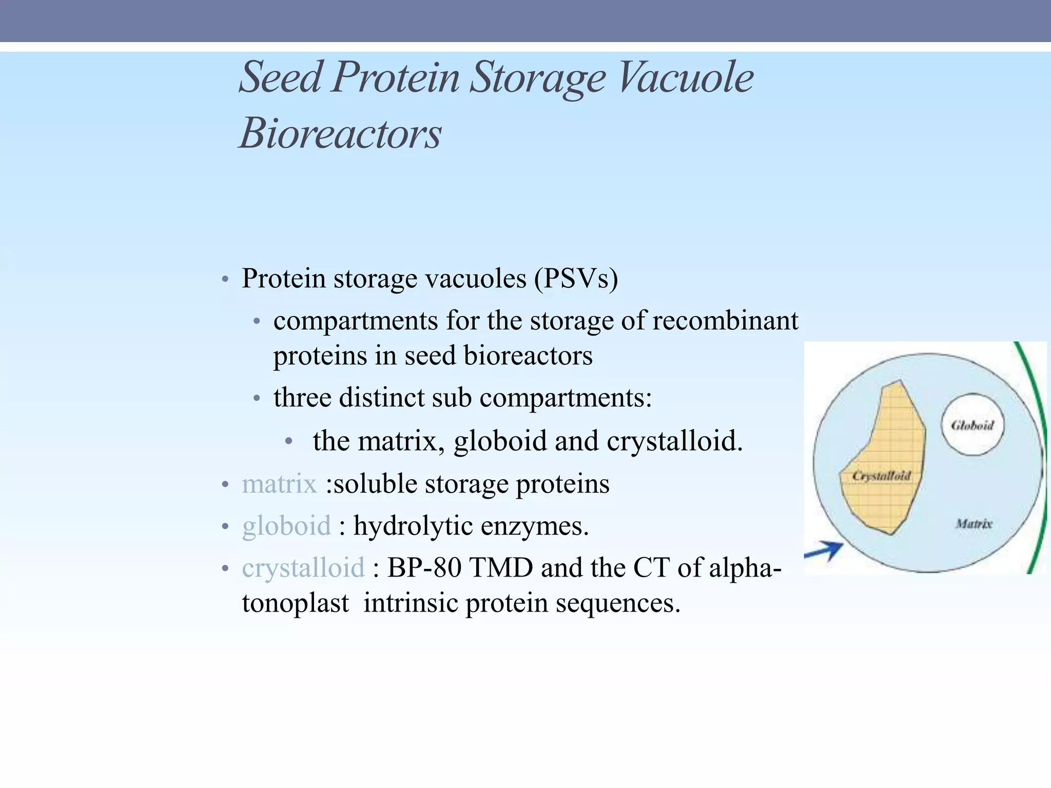 PLANTS AS BIOREACTOR | PPTX