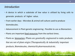 PLANTS AS BIOREACTOR | PPTX