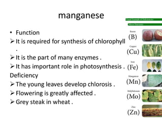 komal plant nuetrient 1.pdf for agriculture students | PDF | Nutrition ...