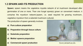 Komal power point presentation on agriculture | PPT