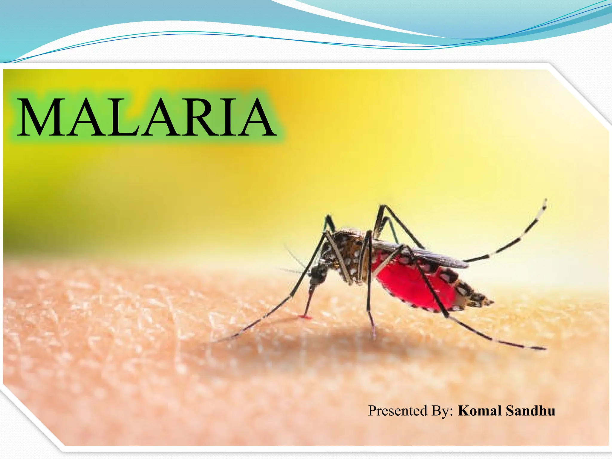 Comprehensive study on Malaria Disease fact | PPTX