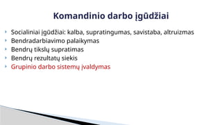 Komandinio darbo principai, lyderio pozicija, rekomendacijos vadovui | PPT