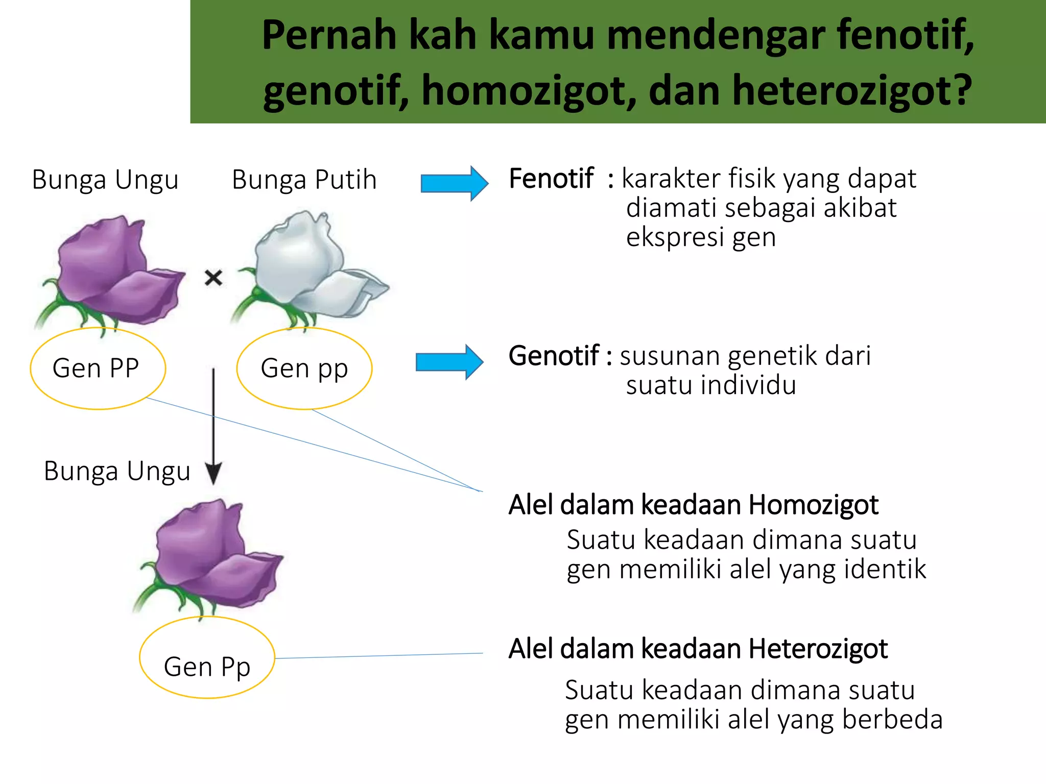 Kombinasi Edit PPT Pewarisan SIfat.pptx