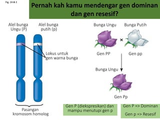 Kombinasi Edit PPT Pewarisan SIfat.pptx