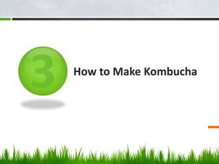 Kombucha | PDF