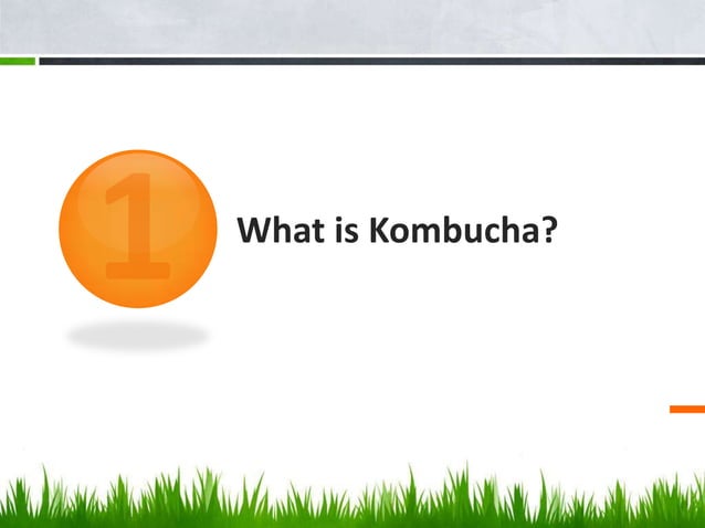 Kombucha | PDF