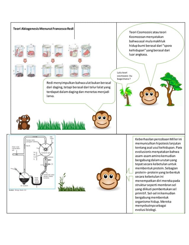Komik evolusi | DOCX
