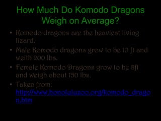 Komodo Dragon Inquiry Pptx