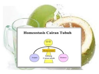 Kompartemen-Dan-Komposisi-Cairan-Tubuh (kelompok1).pptx