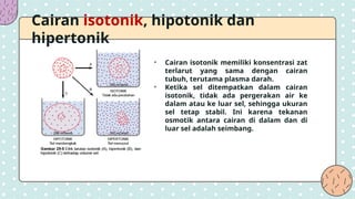 KOMPARTEMEN CAIRAN TUBUH kompartemen cairan tubuh terdiri dari cis dan ...