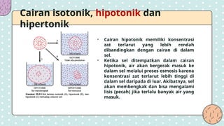 KOMPARTEMEN CAIRAN TUBUH kompartemen cairan tubuh terdiri dari cis dan ...