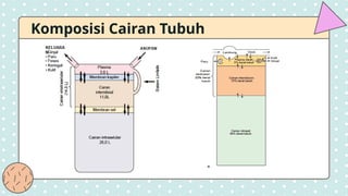 KOMPARTEMEN CAIRAN TUBUH kompartemen cairan tubuh terdiri dari cis dan ...