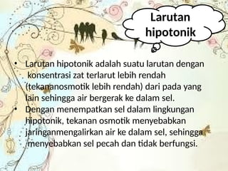 KOMPARTEMEN DAN KOMPOSISI CAIRAN TUBUH.pptx