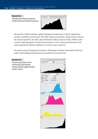 Kompendium DTP. Adobe Photoshop, Illustrator, InDesign i Acrobat w ...