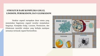 Kompleks golgi,lisosom,peroksisom dan glioksisom.pptx
