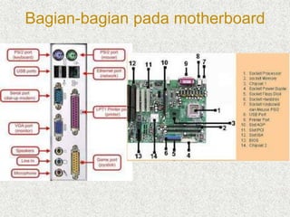 Komponen Komponen CPU | PPTX