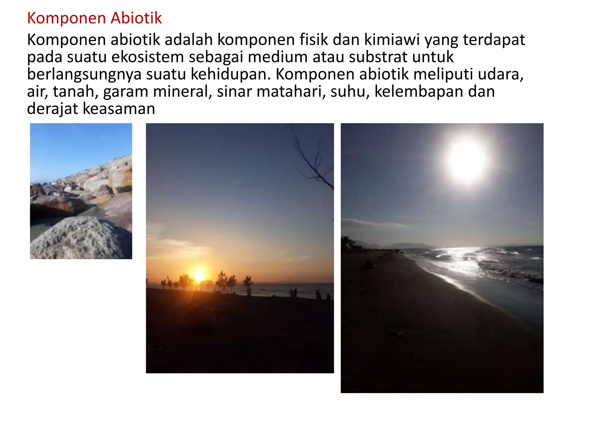 Komponen Biotik & Abiotik.pptx