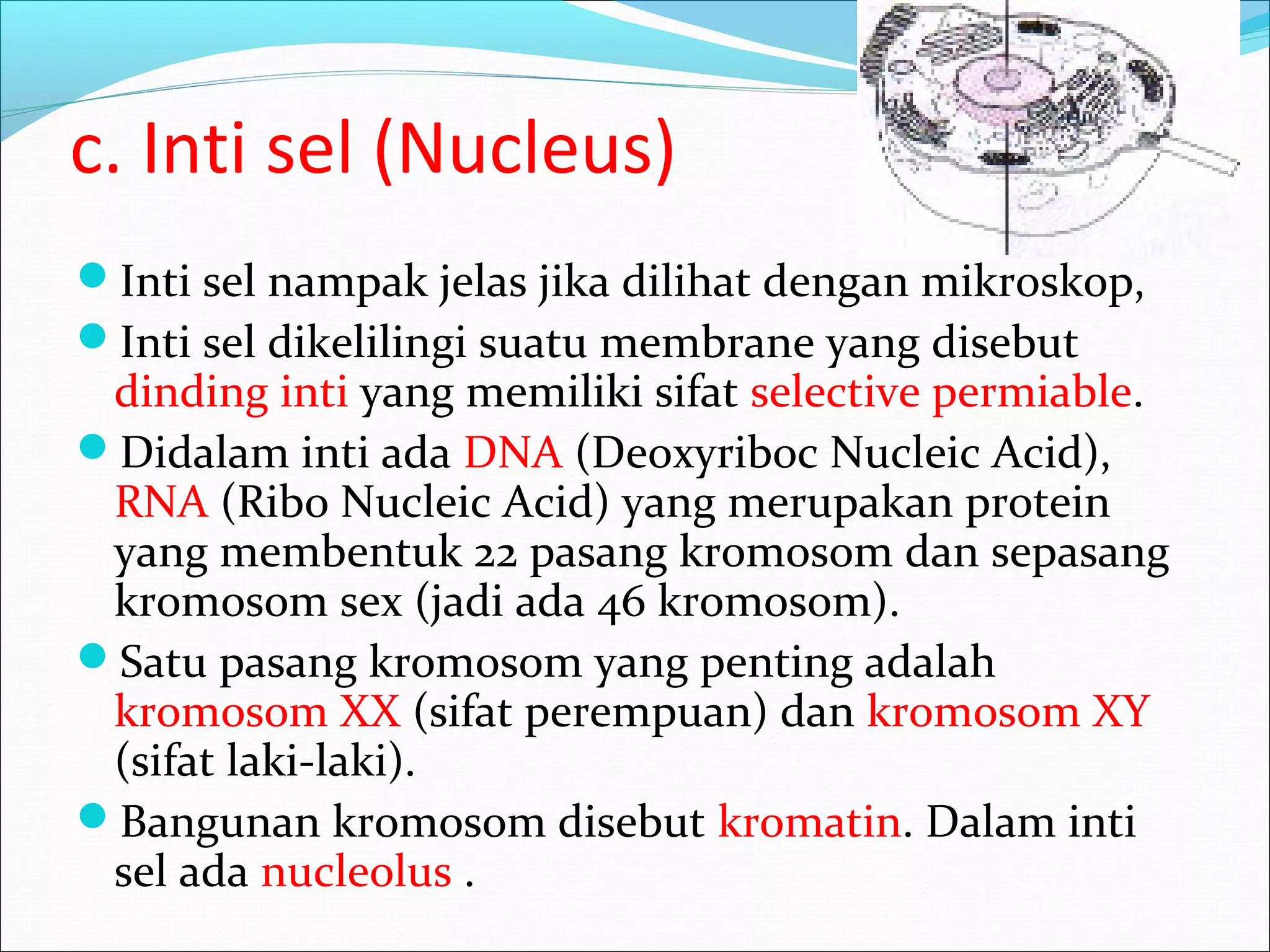 Komponen dan komposisi tubuh manusia | PPT