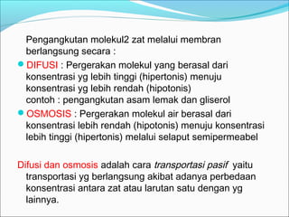 Komponen dan komposisi tubuh manusia | PPT