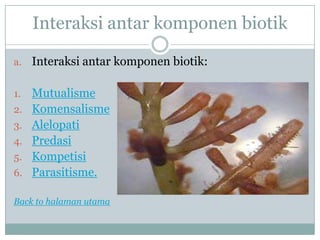 Komponen dan macam ekosistem | PPTX