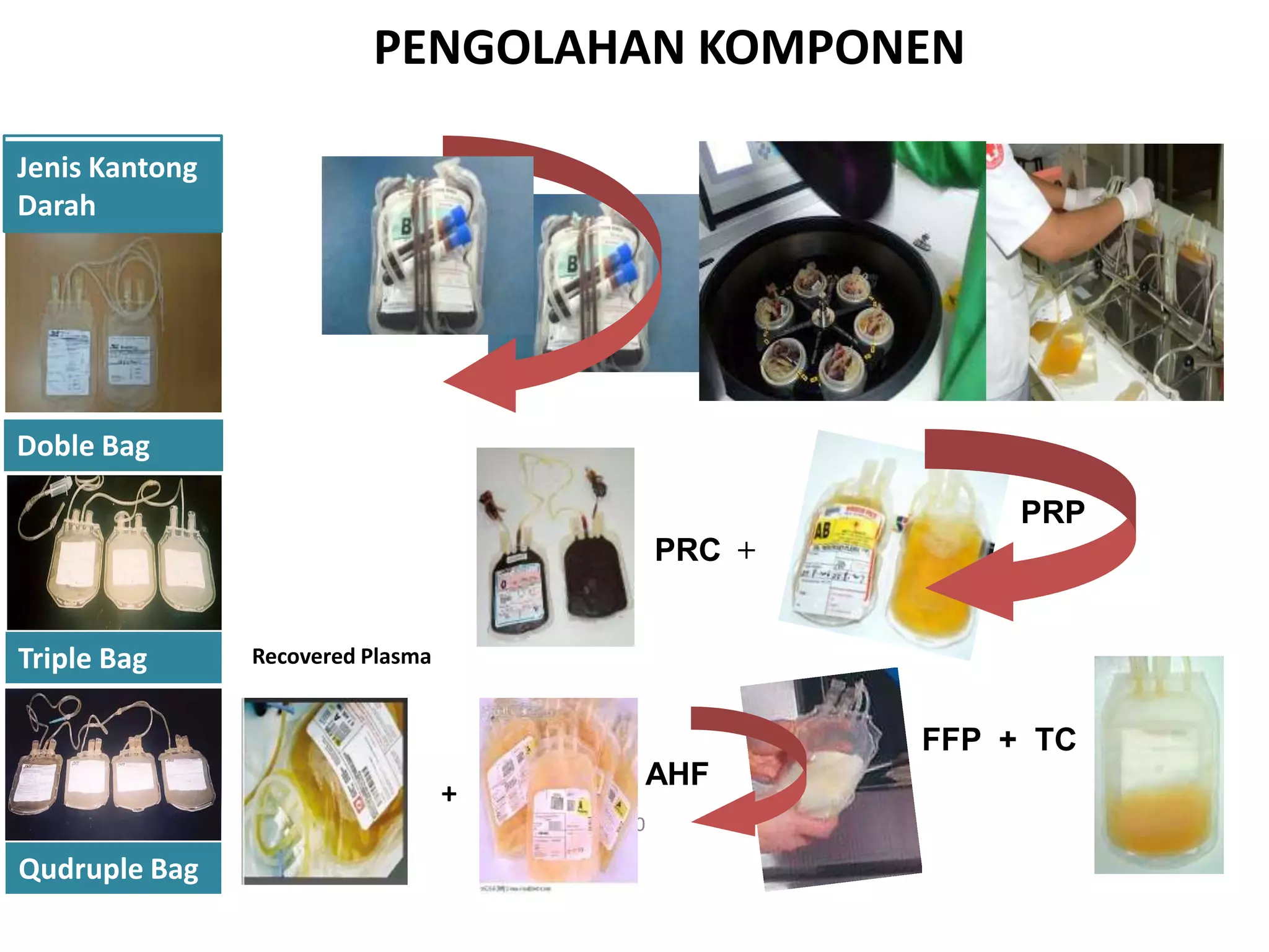 Komponen darah donor dan cara pengolahannya | PPTX