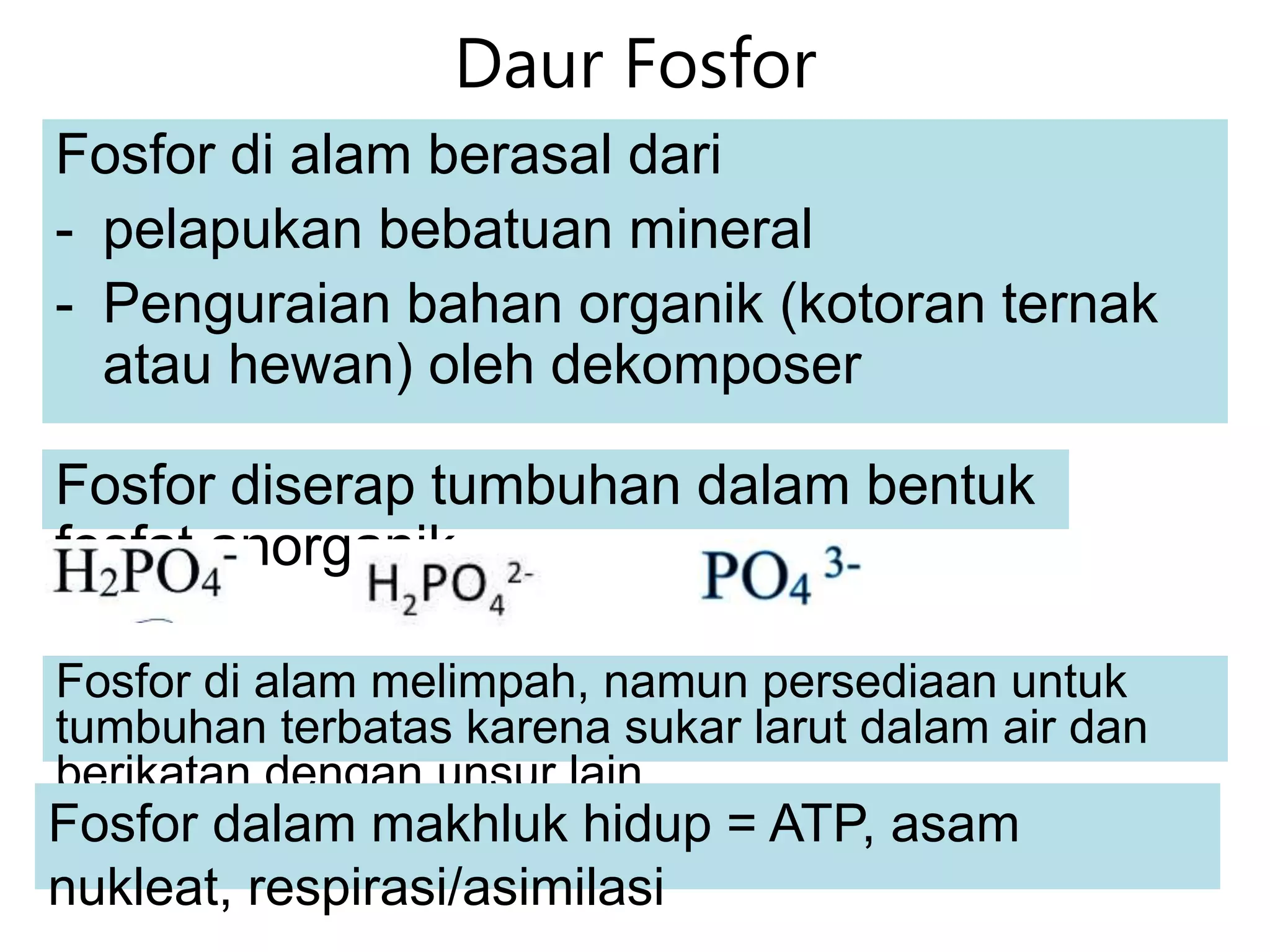 KOMPONEN EKOSISTEM DAN INTERAKSINYA 2.pptx