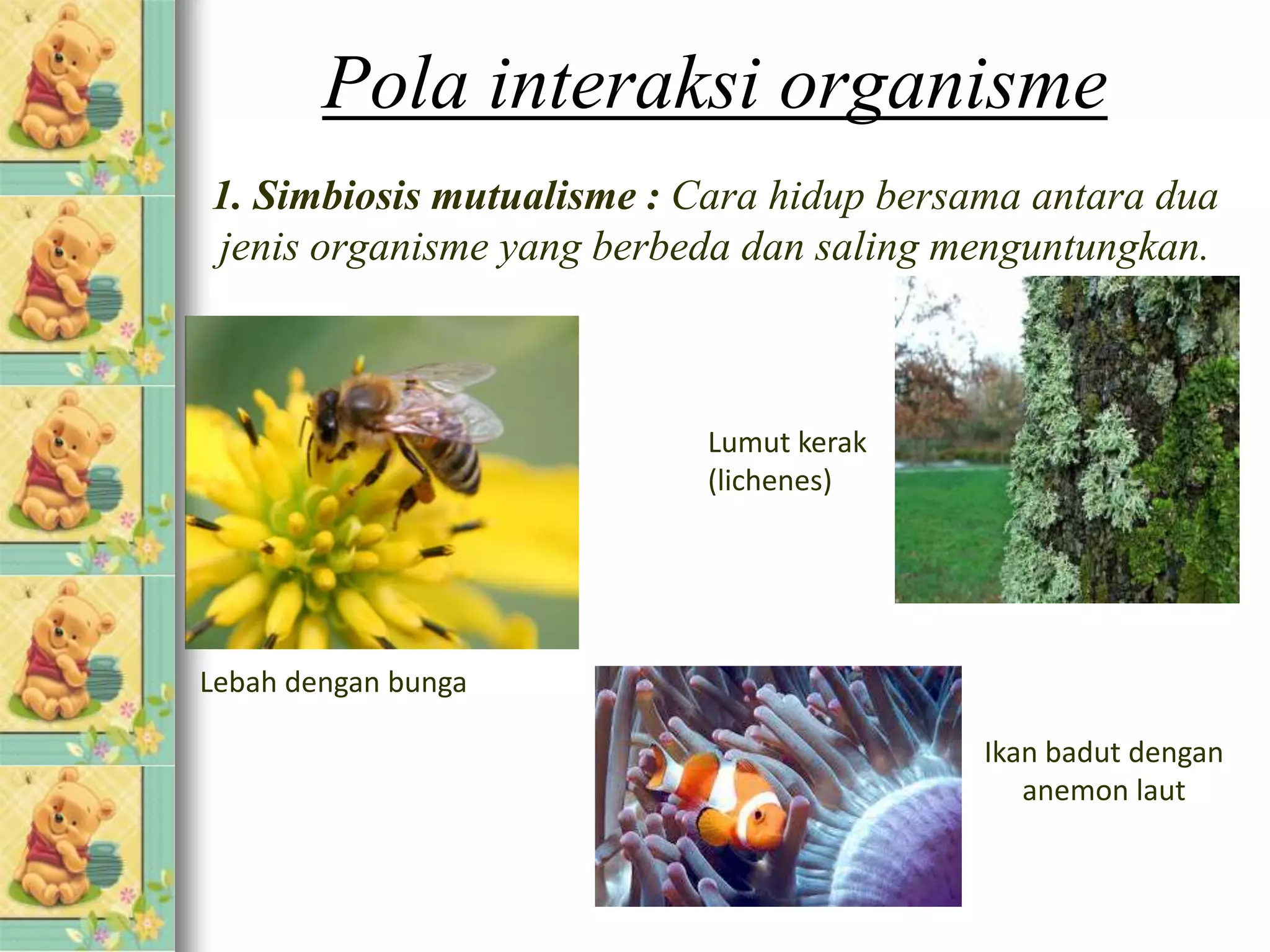Komponen ekosistem, peran dan interaksinya | PPTX